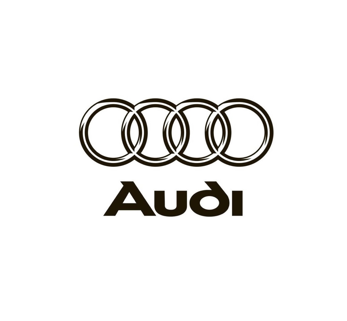 Audi - Baltic Carbon | Automotive Carbon Parts